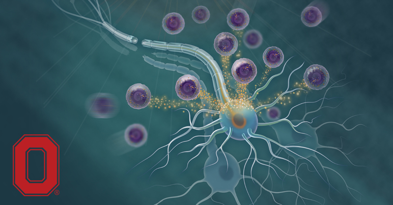 Finding neurology's 'holy grail'| Ohio State College of Medicine
