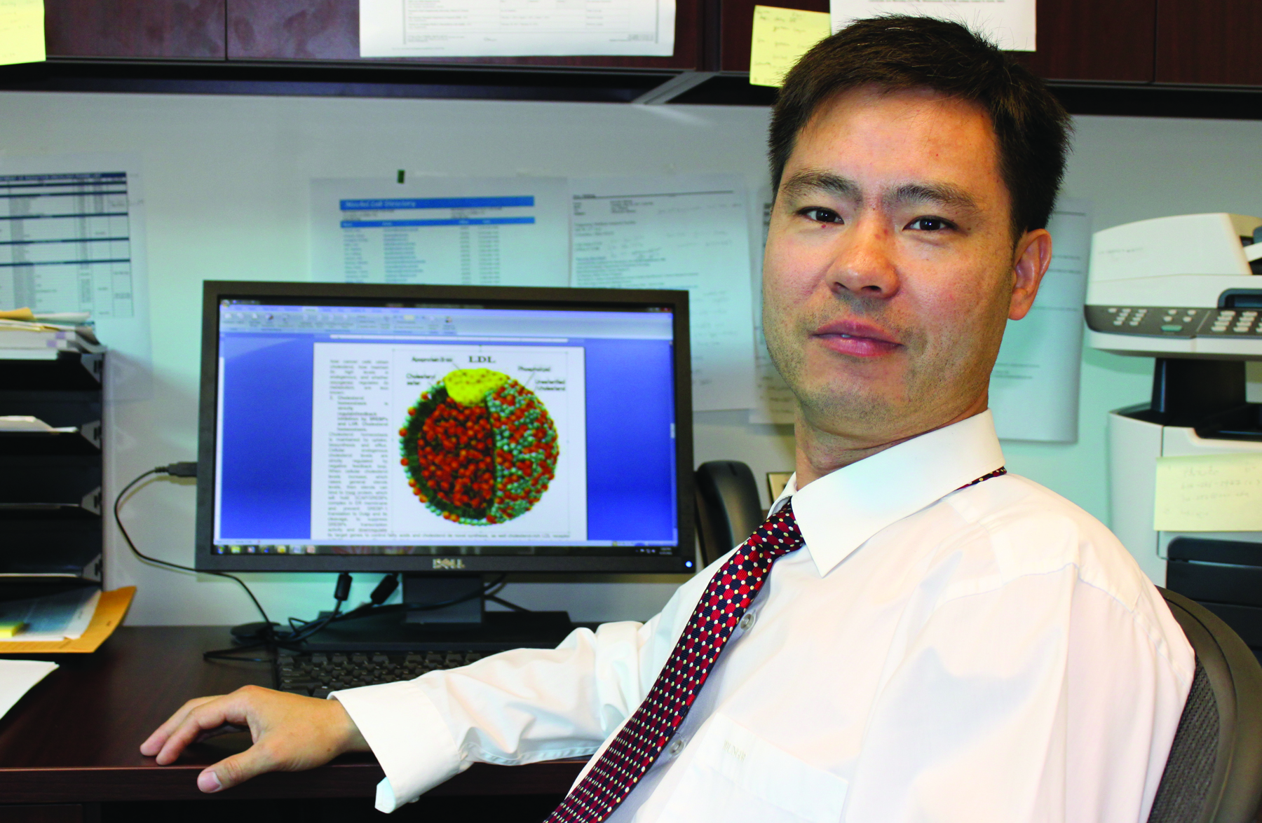 Starving Cancer Cells Of Cholesterol Might Offer A New Way To Treat ...