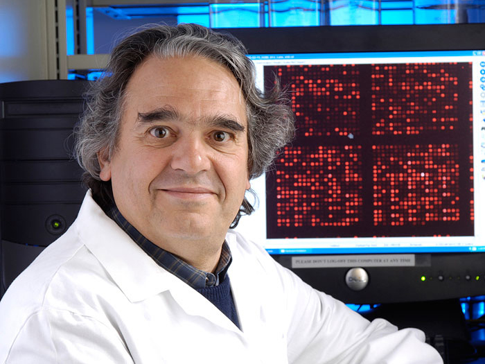 MicroRNA Molecule Found to be a Potent Tumor-Suppressor in Lung Cancer