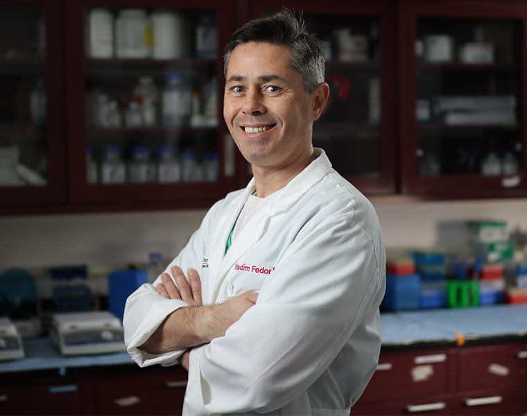 Ohio State Researchers Examine How Fibrosis Affects Heart's Natural ...