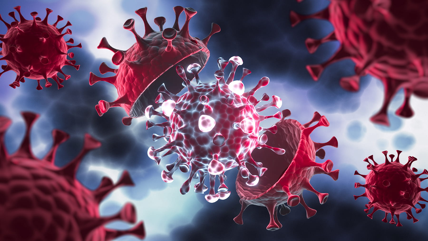 How Do Virus Mutations Happen And What Do They Mean Ohio State How Do Virus Mutations Happen And What Do They Mean Ohio State