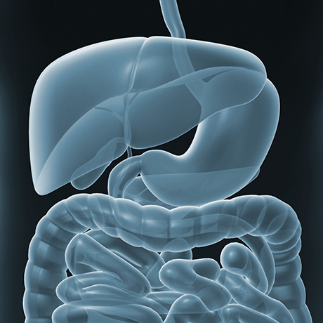Digestive Diseases | Ohio State Medical Center