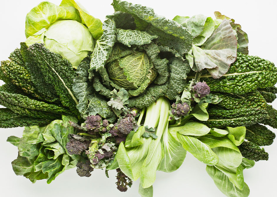 Nutrition Services | Ohio State Medical Center